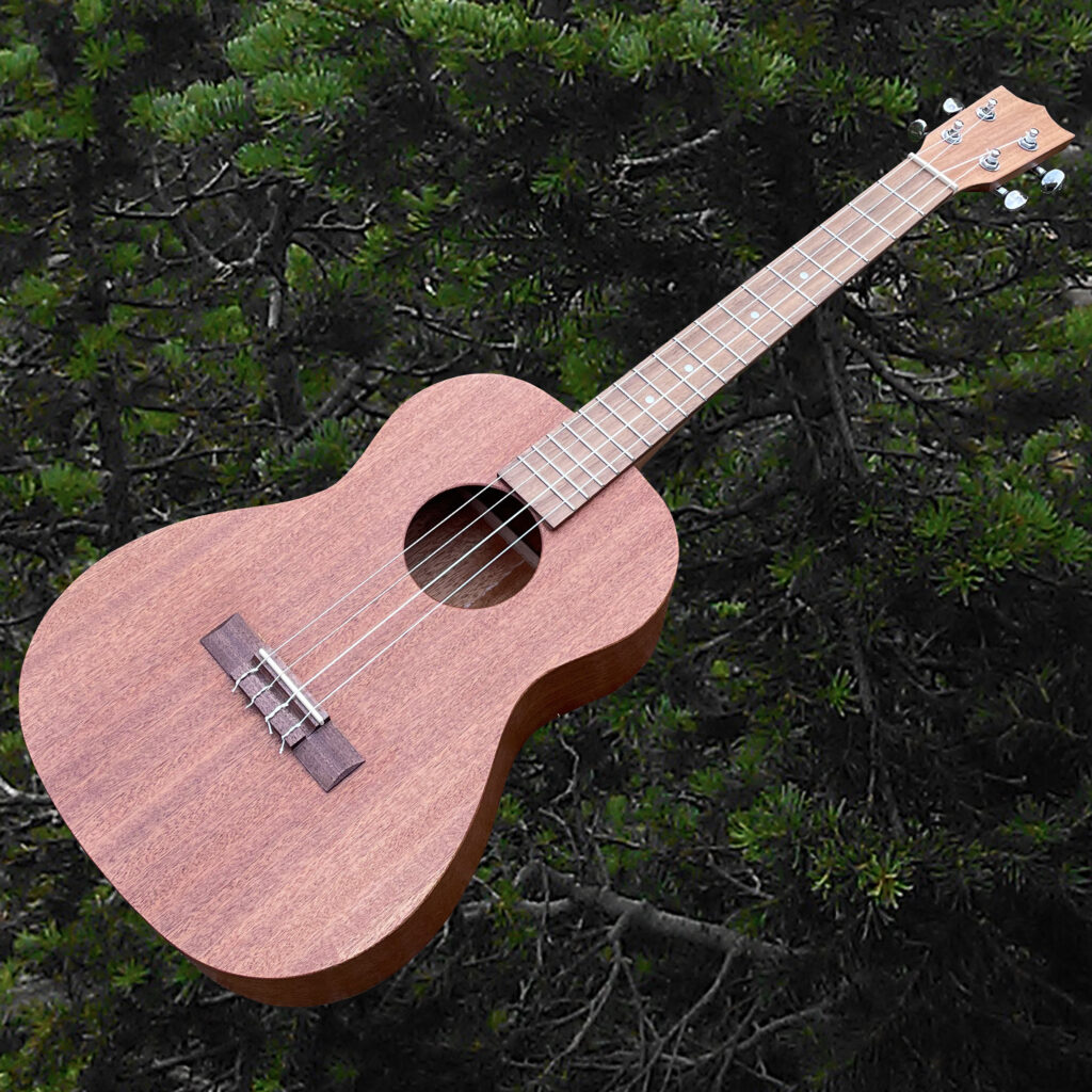 Instrument Shop : Ukulele : Youth Instrument Building in Missoula, MT ...